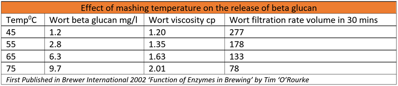 Reducing Beta Glucan Blockage in Beer Production | Amazon Filters